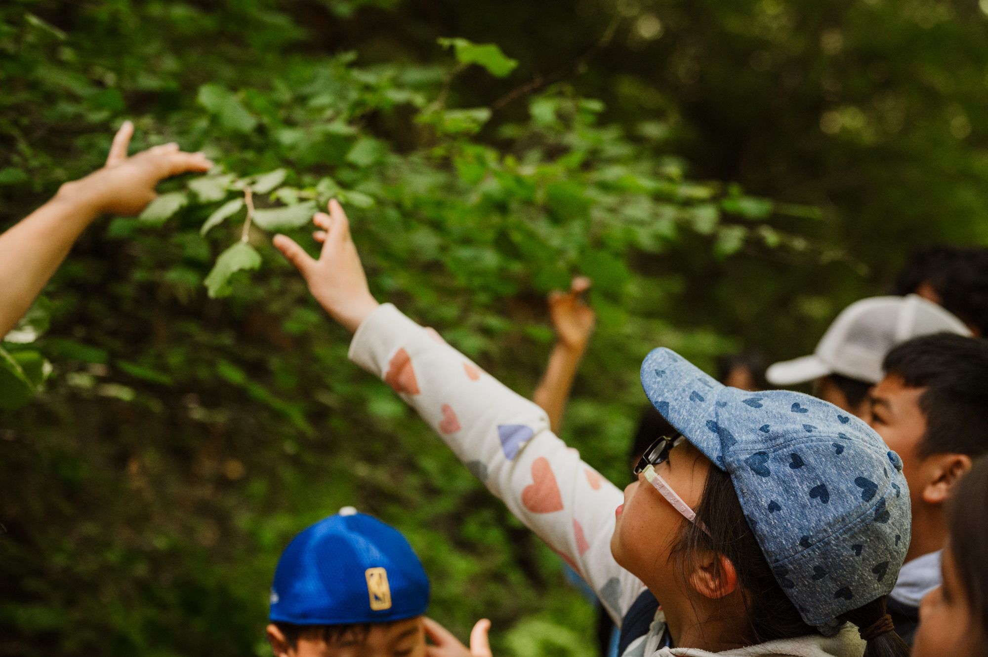 2023-24 Annual Report | Save the Redwoods League